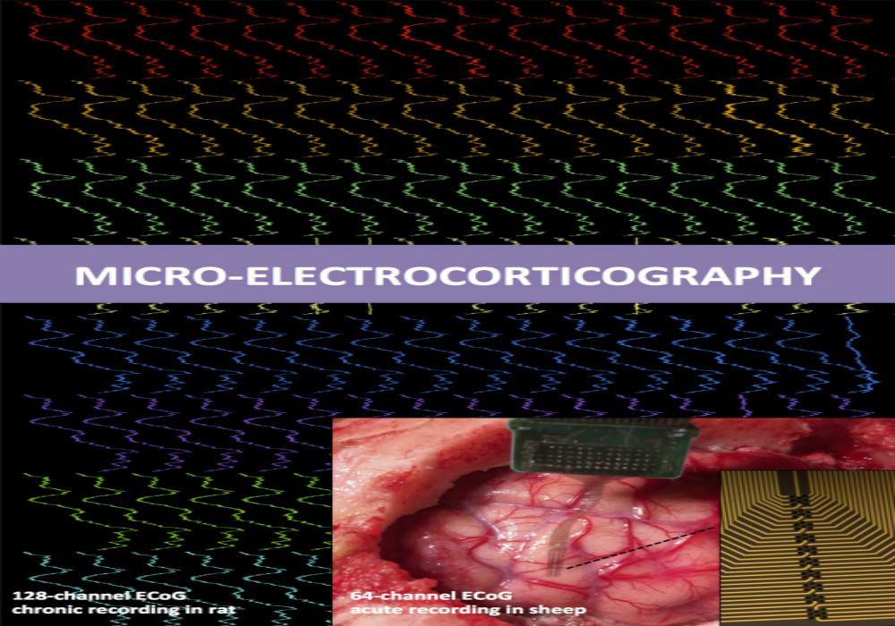 LOTUS BIOCHIPS 多通道神经探针（硅电极）-科圣科技-Blackrock Microsystems, ASIA