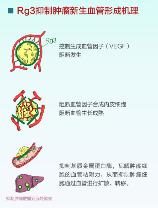 解析人参皂苷Rg3的作用机理-人参皂苷rg3研究中心