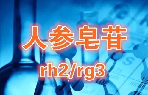 人参皂苷rg3和rh2的主要区别在哪里？哪一种效果会更好些？-人参皂苷行业网