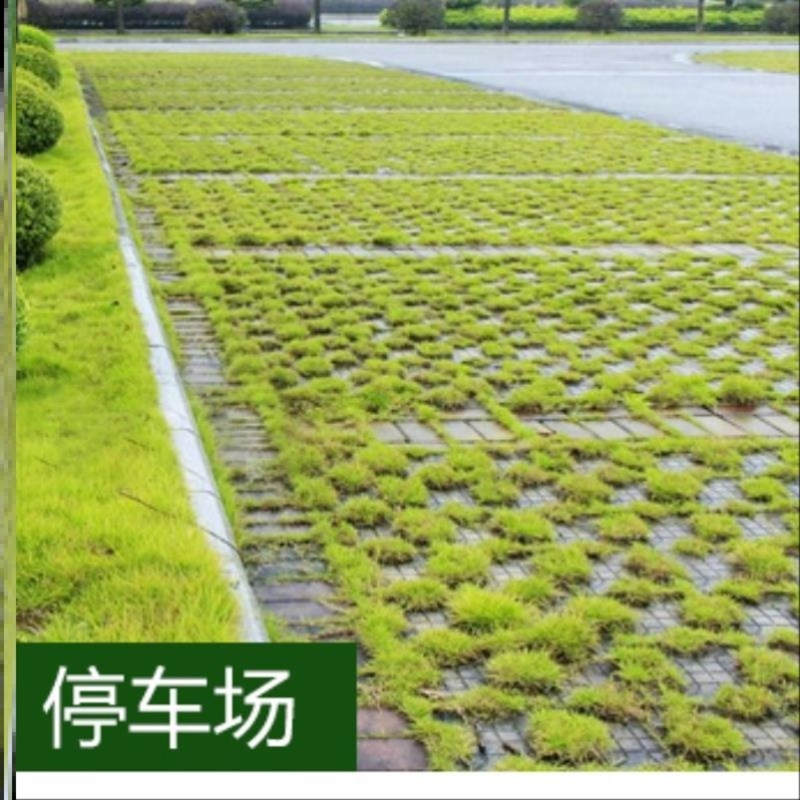 广州行：海绵城市建设效果评估走进项目验收流程 广东省巨嘉建筑科技有限公司 3161
