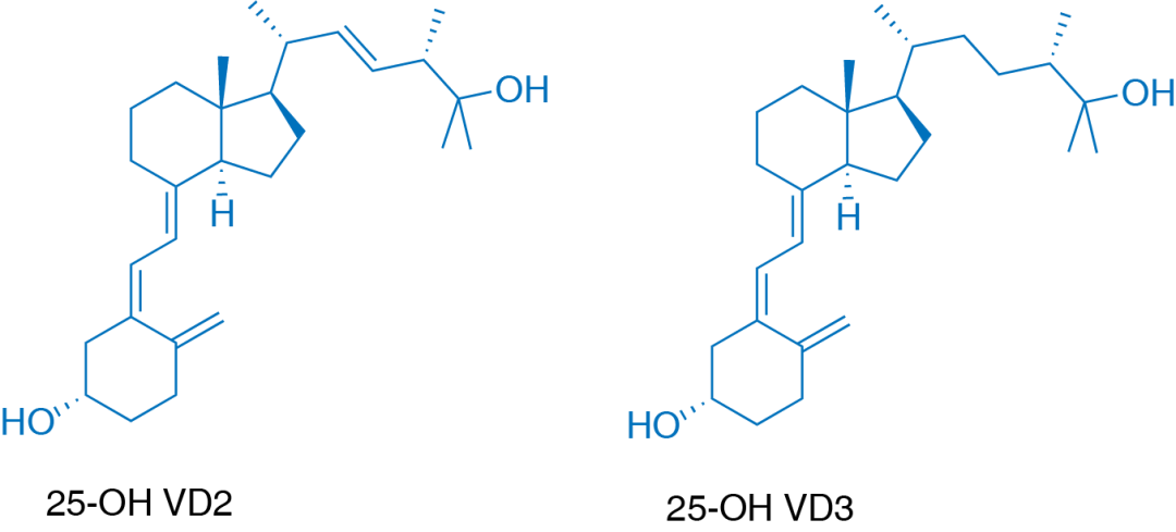 血清中25-羟基维生素D2 和25-羟基维生素D3的测定-广州星谱科技有限公司