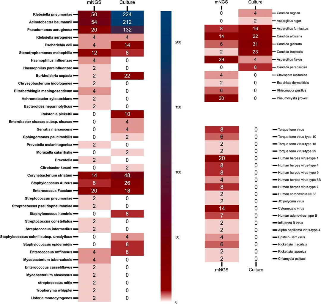 好文摘译丨ECMO支持重症患者不同治疗期病原谱分析-碳华检测