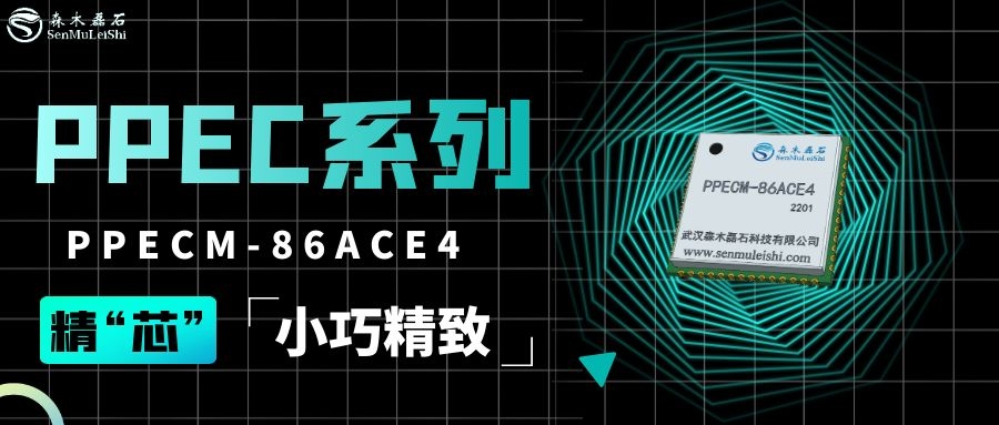 武汉森木磊石科技有限公司_电力电子控制器_高压电源_深海电源_脉冲电源_定制电源_半实物仿真_硬件在环_快速控制原型