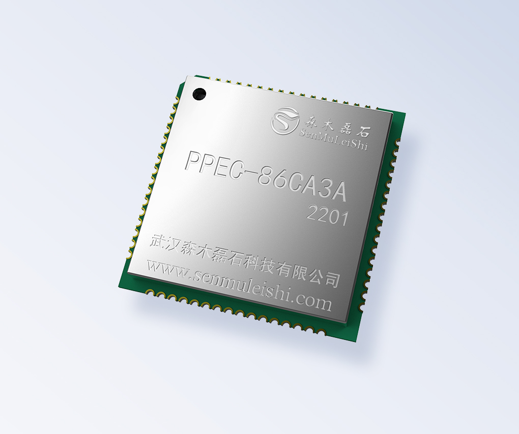 PPEC-86CA3A-森木磊石