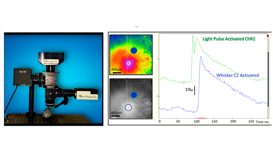 3001-Optolmage光学成像系统-科圣科技-Blackrock Microsystems, ASIA