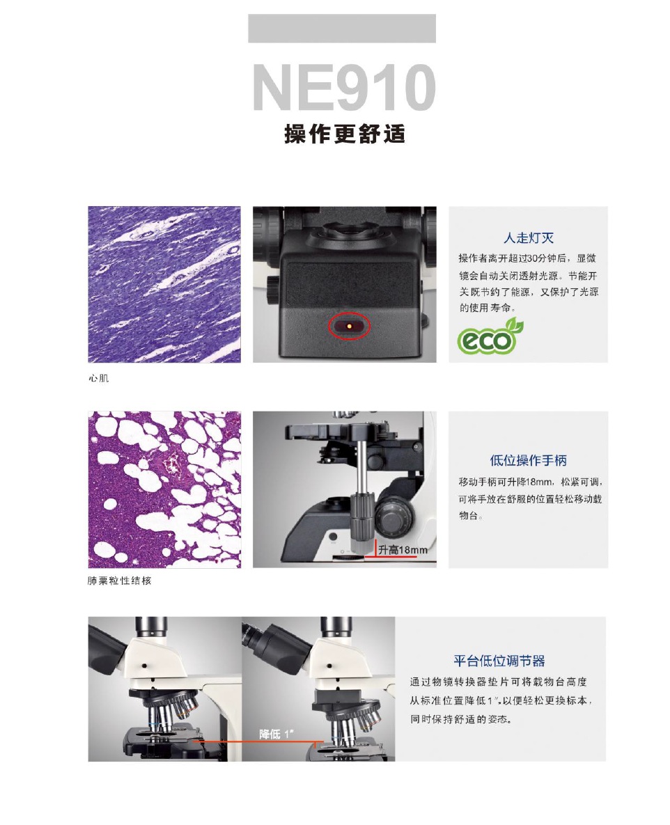 NE910手动正置生物显微镜-上海永科光学仪器有限公司