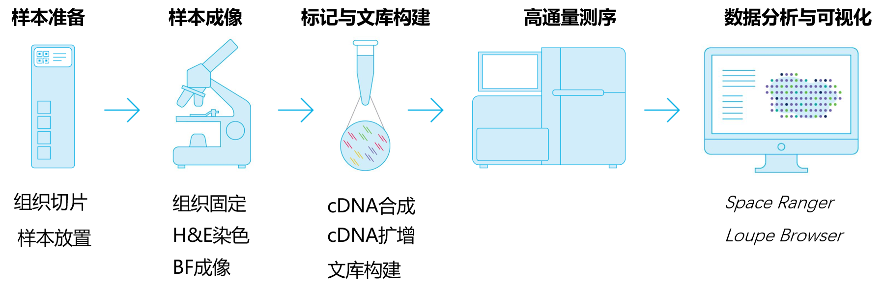 10x-genomics-visium