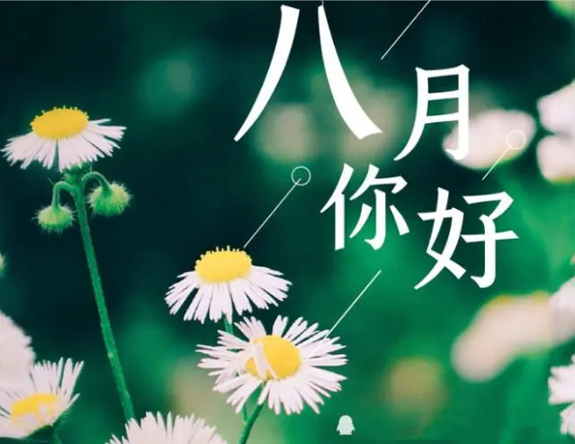 在八月-广潍集团