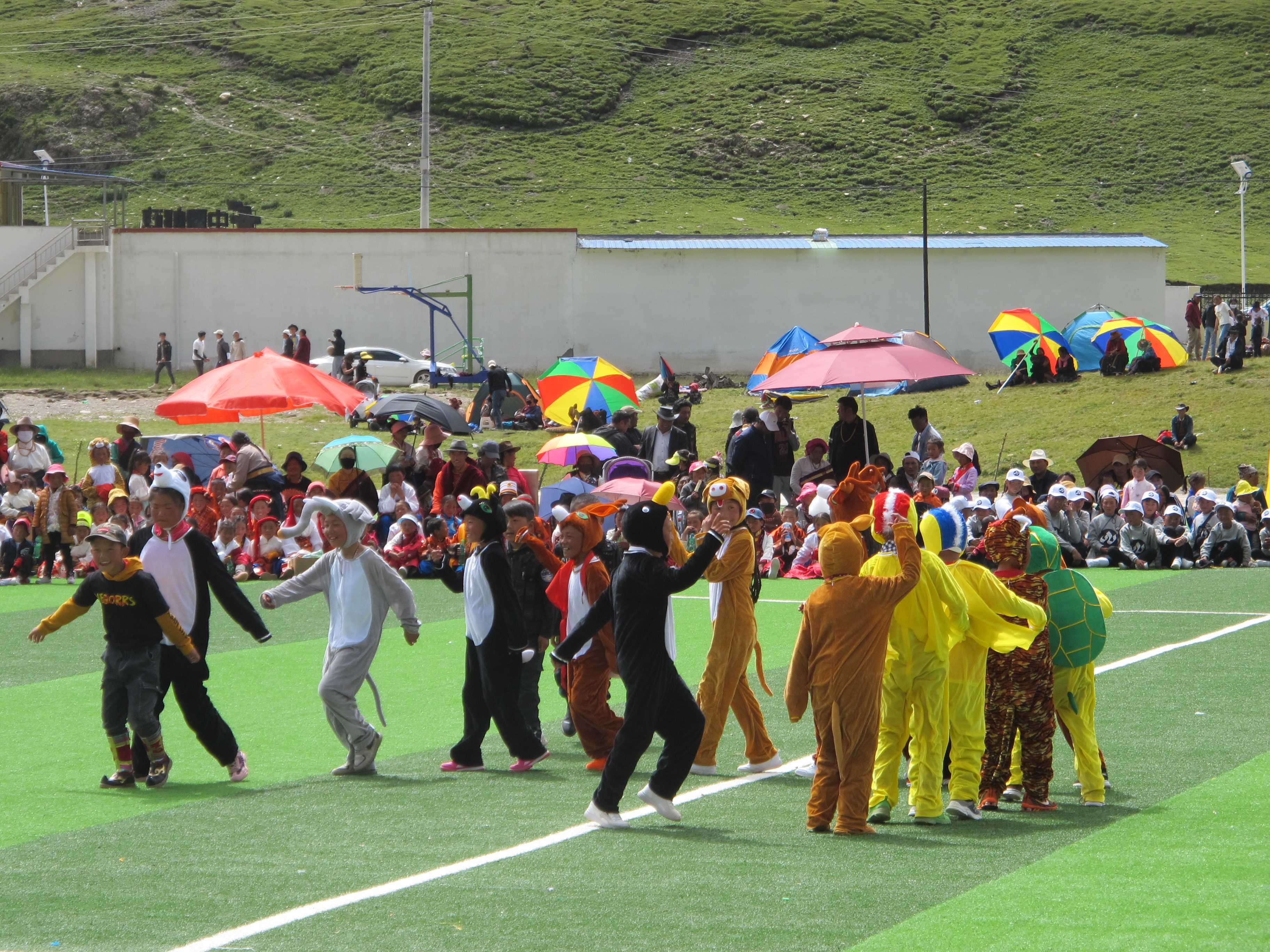 三江源生态环境教育项目-北京富群社会服务中心