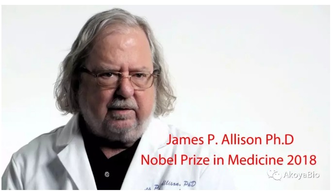 文献速递|诺奖得主James Allison再发重磅文献聚焦脑胶质瘤创新药物靶点CD73 - 企业动态 - 丁香通