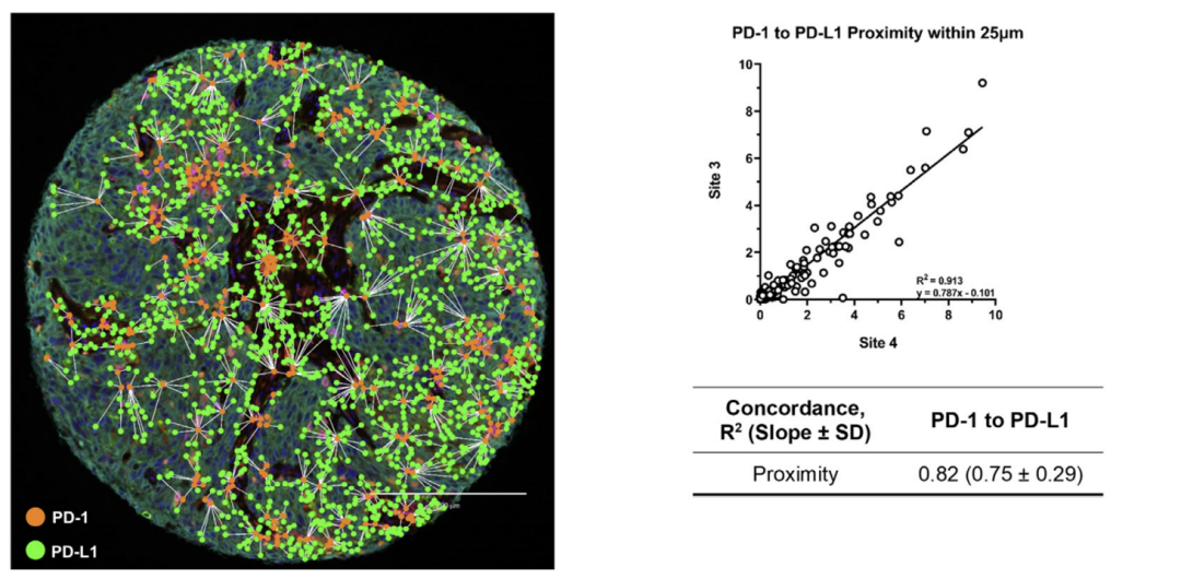 Akoya从三个维度解析空间表型，助力下一个突破！-云准医药科技（上海）有限公司