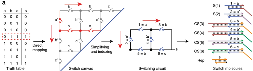 NAT COMMUN丨DNA交换电路实现数字计算-企业官网