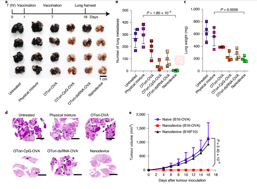 NAT MATER丨基于DNA纳米器件的疫苗用于癌症免疫治疗-企业官网