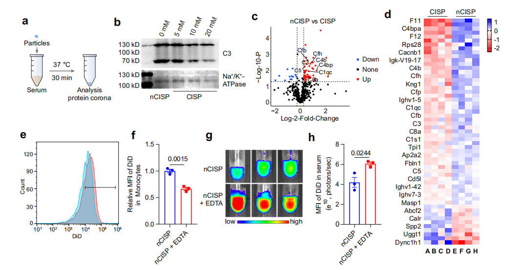 Nat Commun丨去除胆固醇改善了模型仿生系统的性能，以递送癌症免疫疗法的光热剂和STING激动剂-企业官网