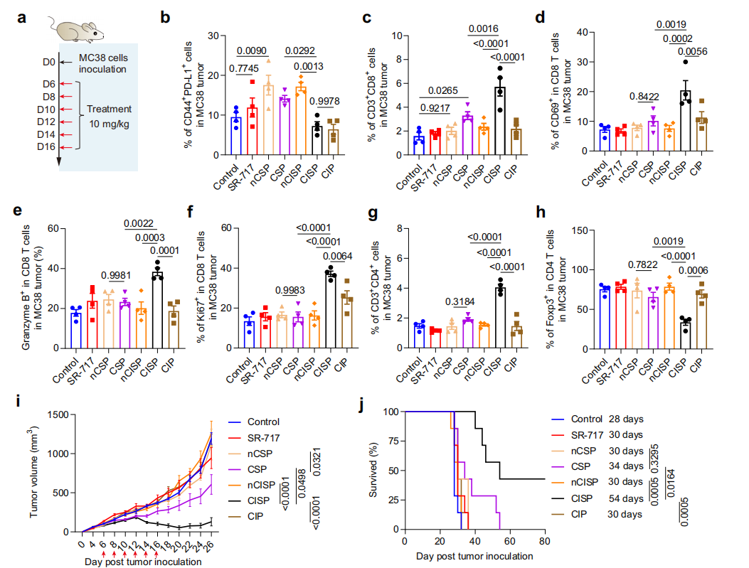 Nat Commun丨去除胆固醇改善了模型仿生系统的性能，以递送癌症免疫疗法的光热剂和STING激动剂-企业官网