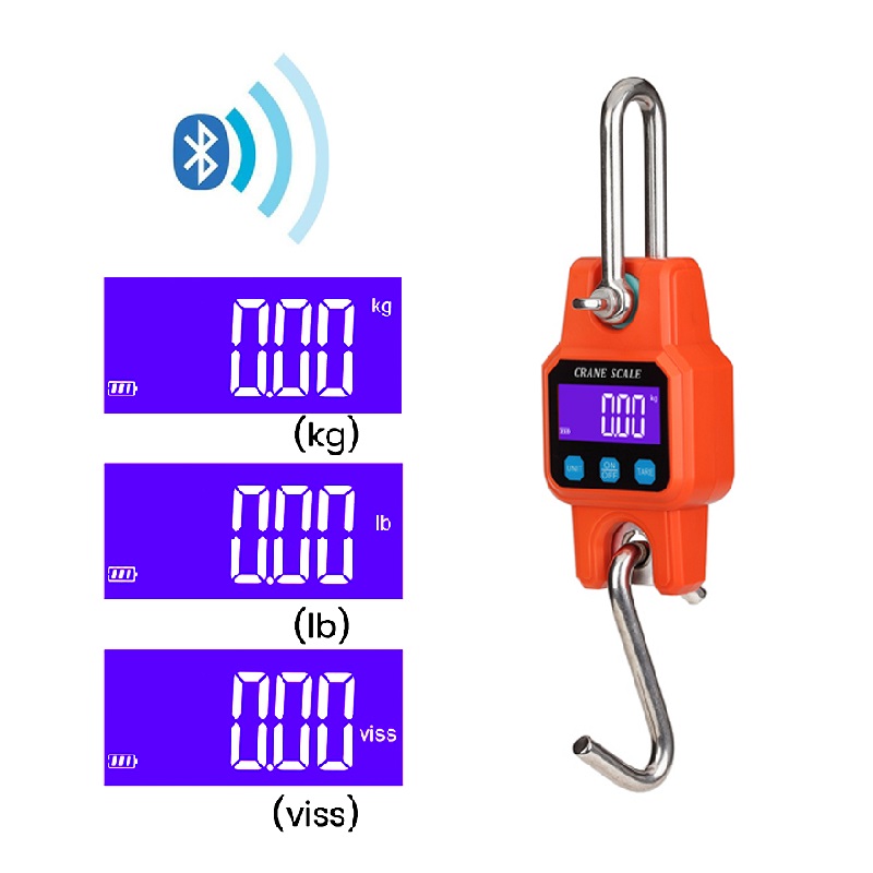 CRANE SCALE-Mechanotronics