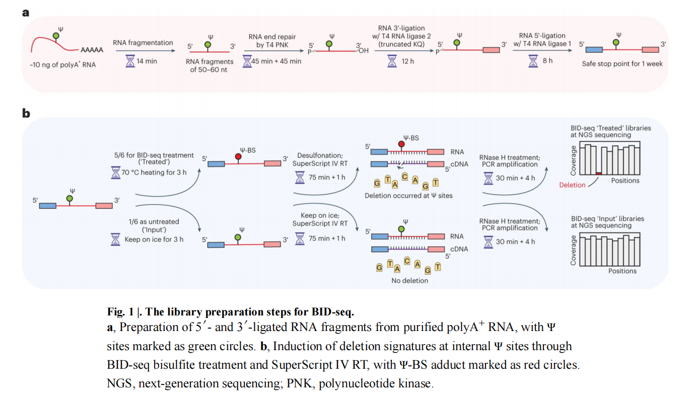 上海达澈生物科技有限公司-BID - seq（Ψ）