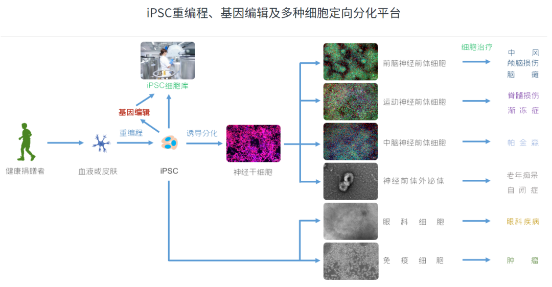 【隆门Family】霍德生物iPSC神经前体细胞治疗脑卒中后遗症的临床研究项目启动会成功召开-珠海隆门资本管理有限公