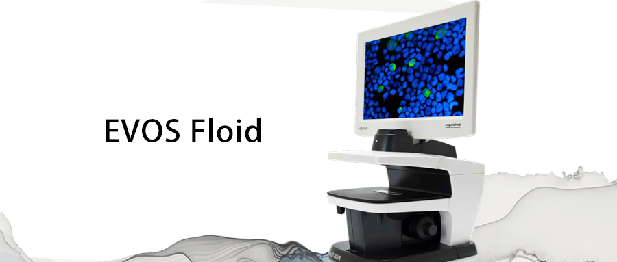 上海允逸科贸有限公司