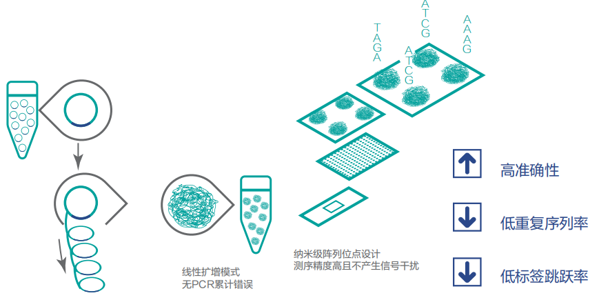 MGISEQ-200基因测序仪-北京奥今东方科技