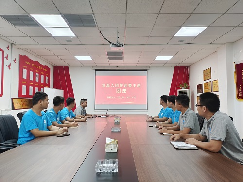 中煤雷奥团支部开展重温入团誓词暨主题教育团课活动-中煤雷奥邯郸环保科技有限公司