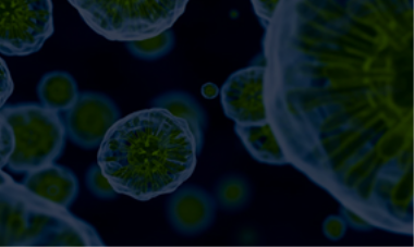 BBO是什么？BBO英国生物奥林匹克竞赛介绍-FamousEdu 名学竞赛帮