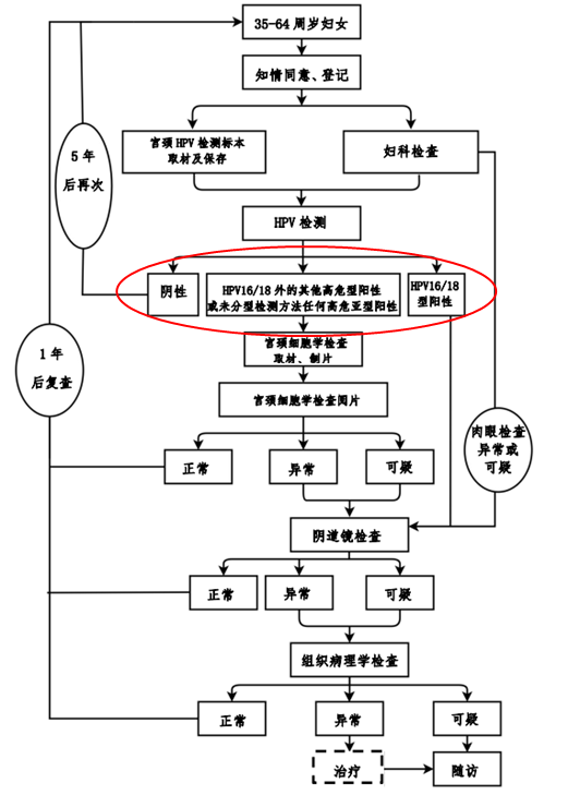 科技观察 Hpv阳性宫颈癌? 英诺唯真生物科技有限公司