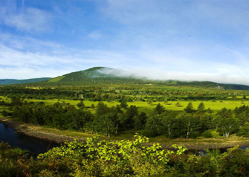 About Us-SHANXI U RELY INTERNATIONAL TRADE CO.,LTD.