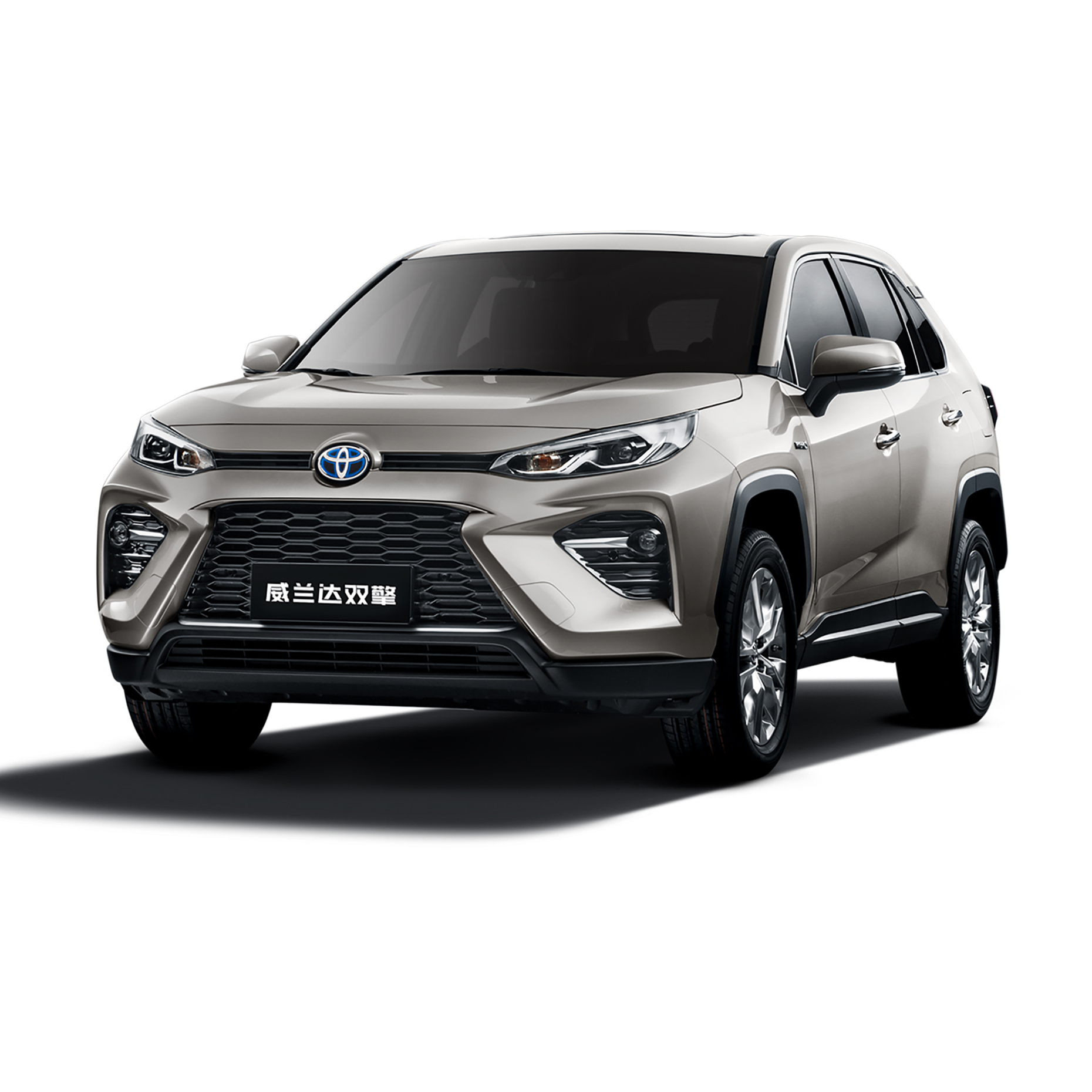 XR-V-东营天驰集团