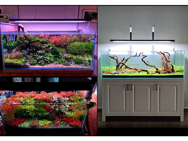 WEEKAQUA P Series Grass tank full spectrum water grass fill light plant ...